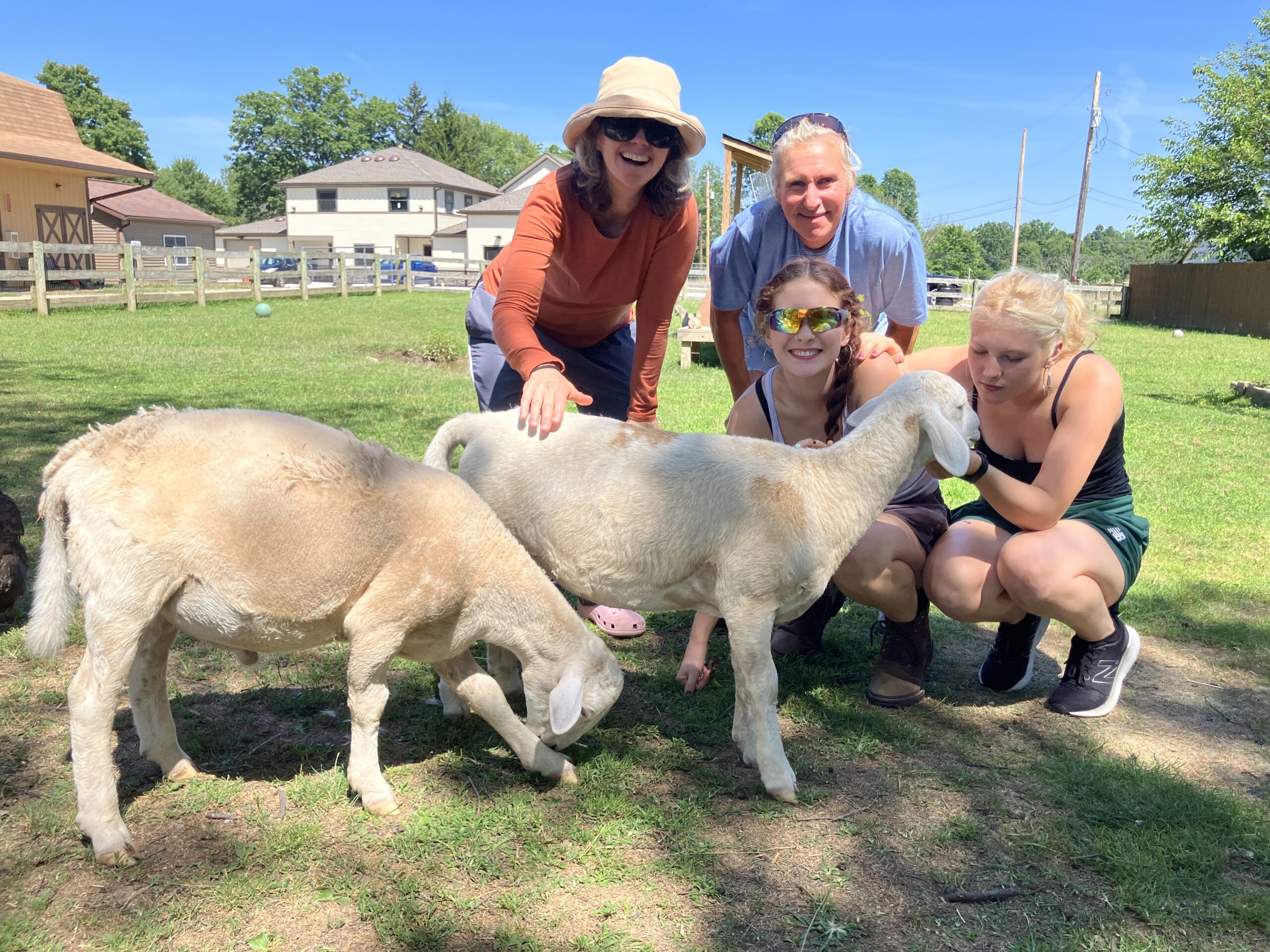 Sanctuary Tours - Happy Trails